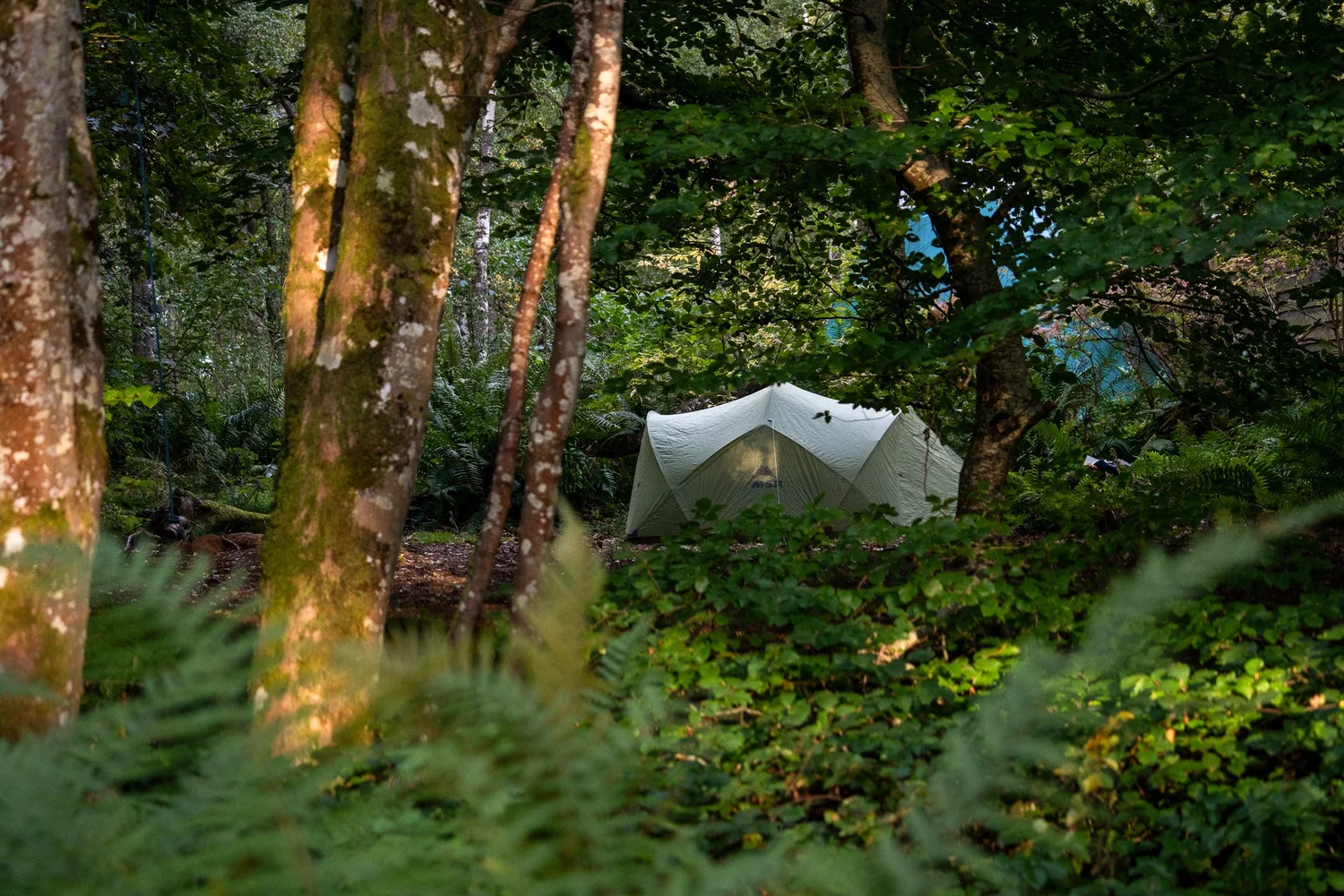 Page — Comrie Croft