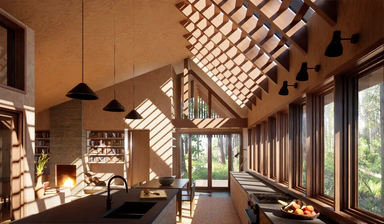 Forest Canopy House — Laura Killam Architecture