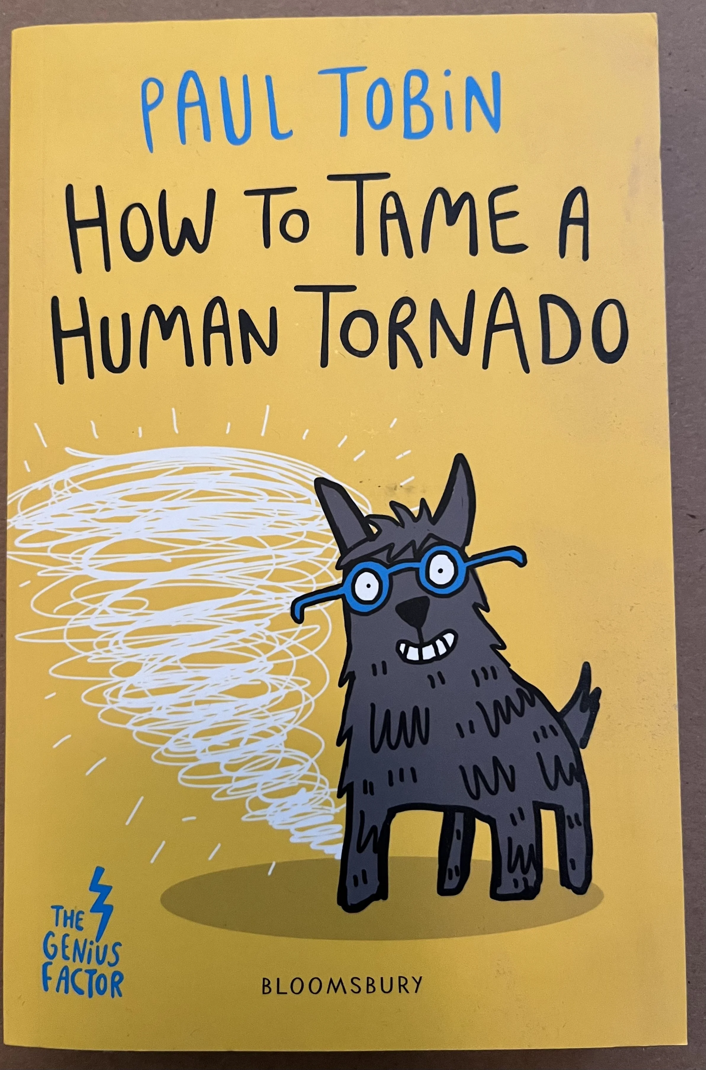 Genius Factor book series — Paul Tobin