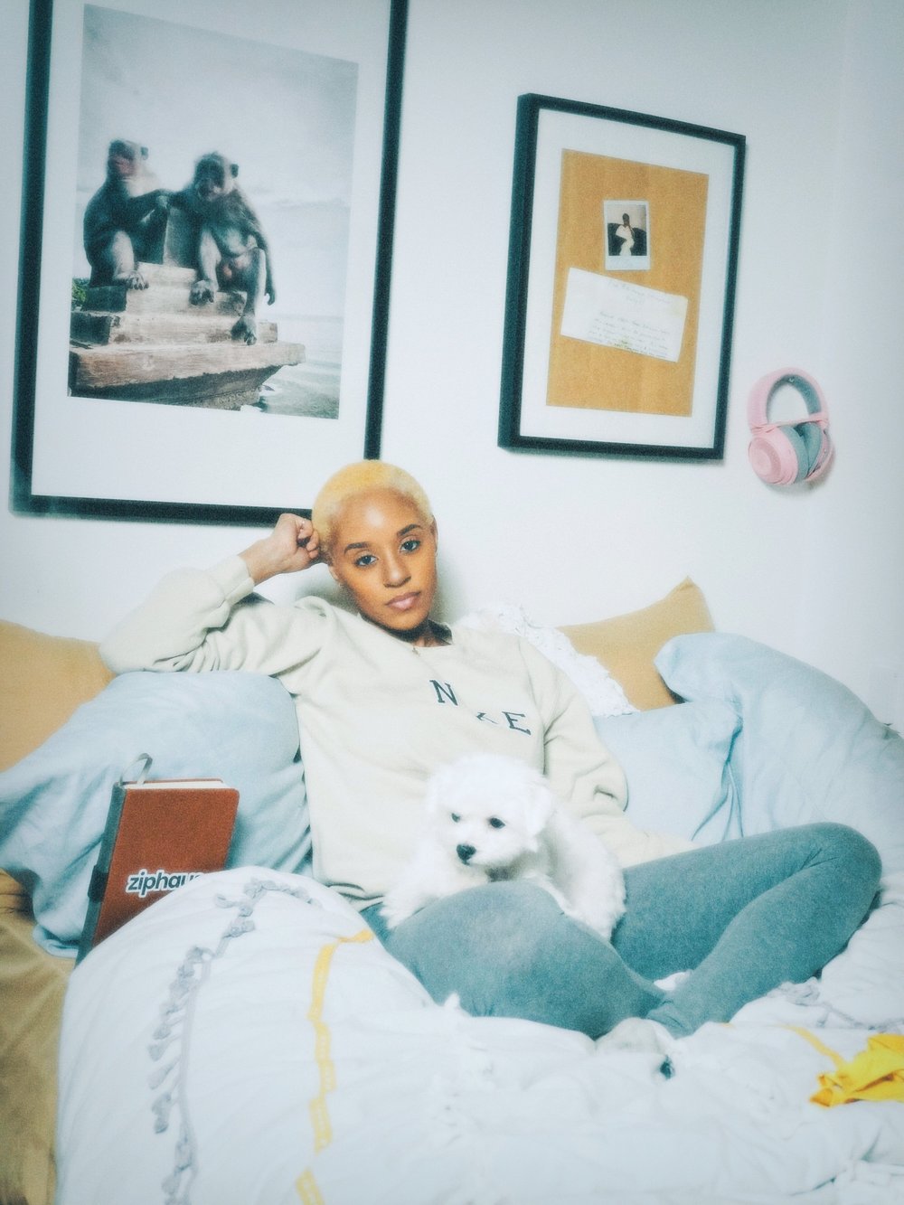 Hats, Bags and T Shirts For Dog Lovers in US | Mutty Prints