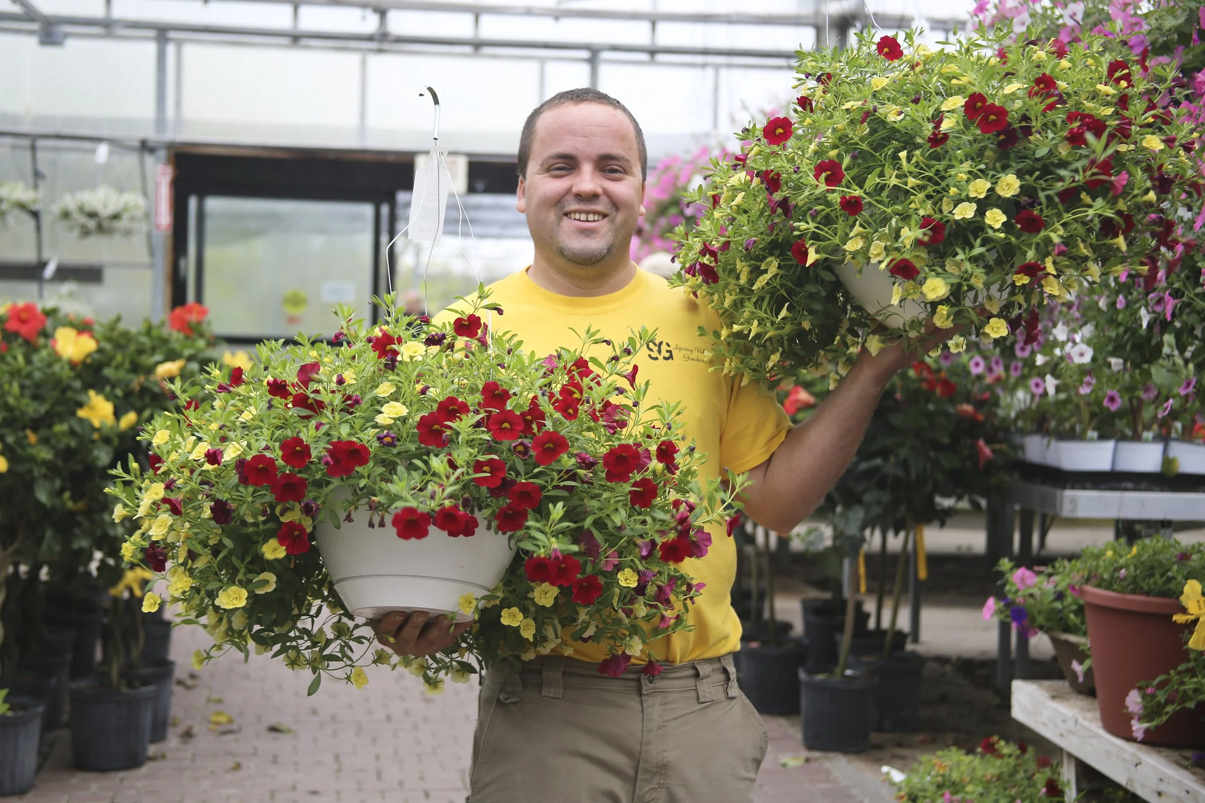 Plants/Shrubs/Trees — Spring Valley Gardens