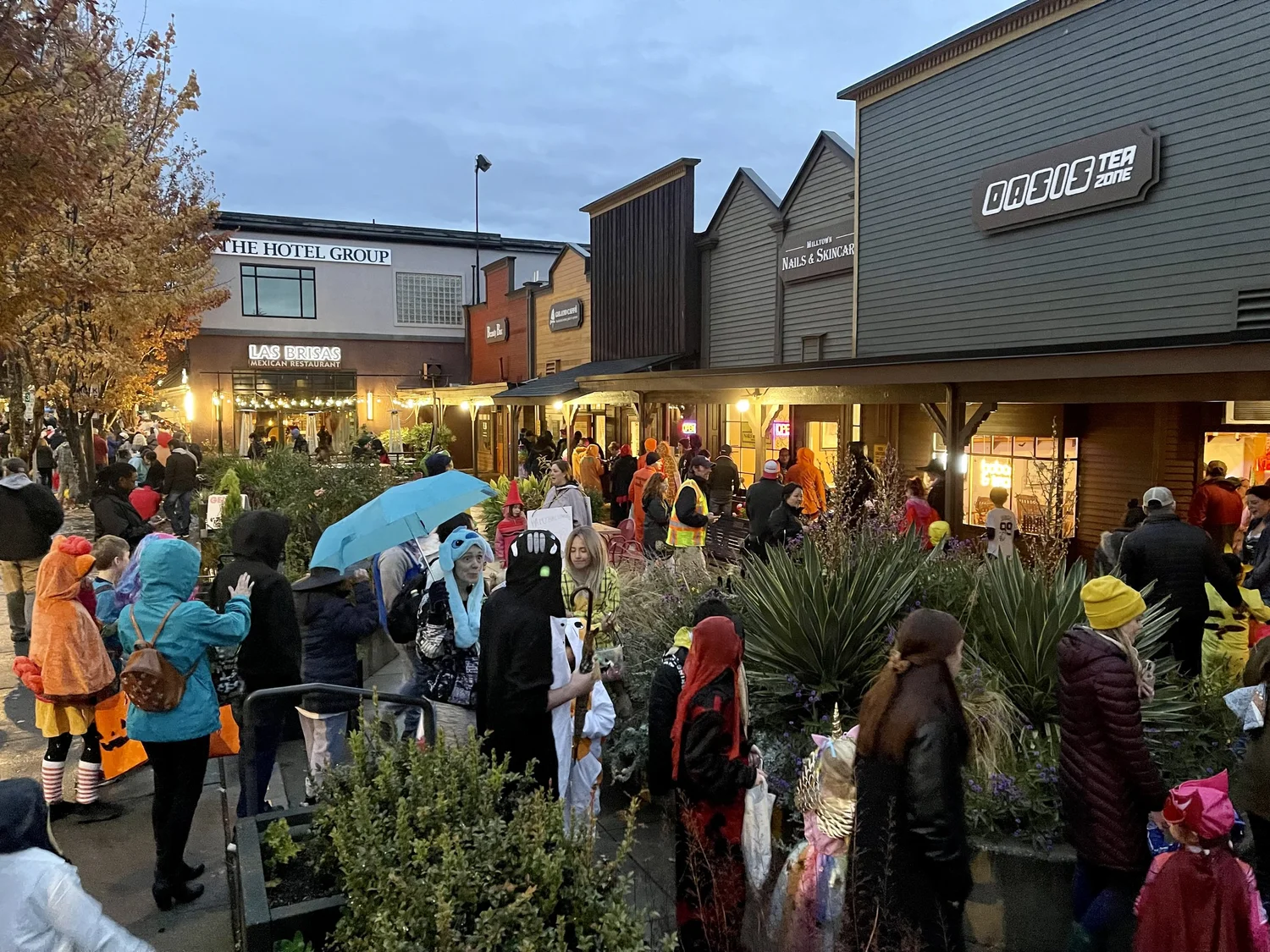 About 3 — Oasis Tea Zone