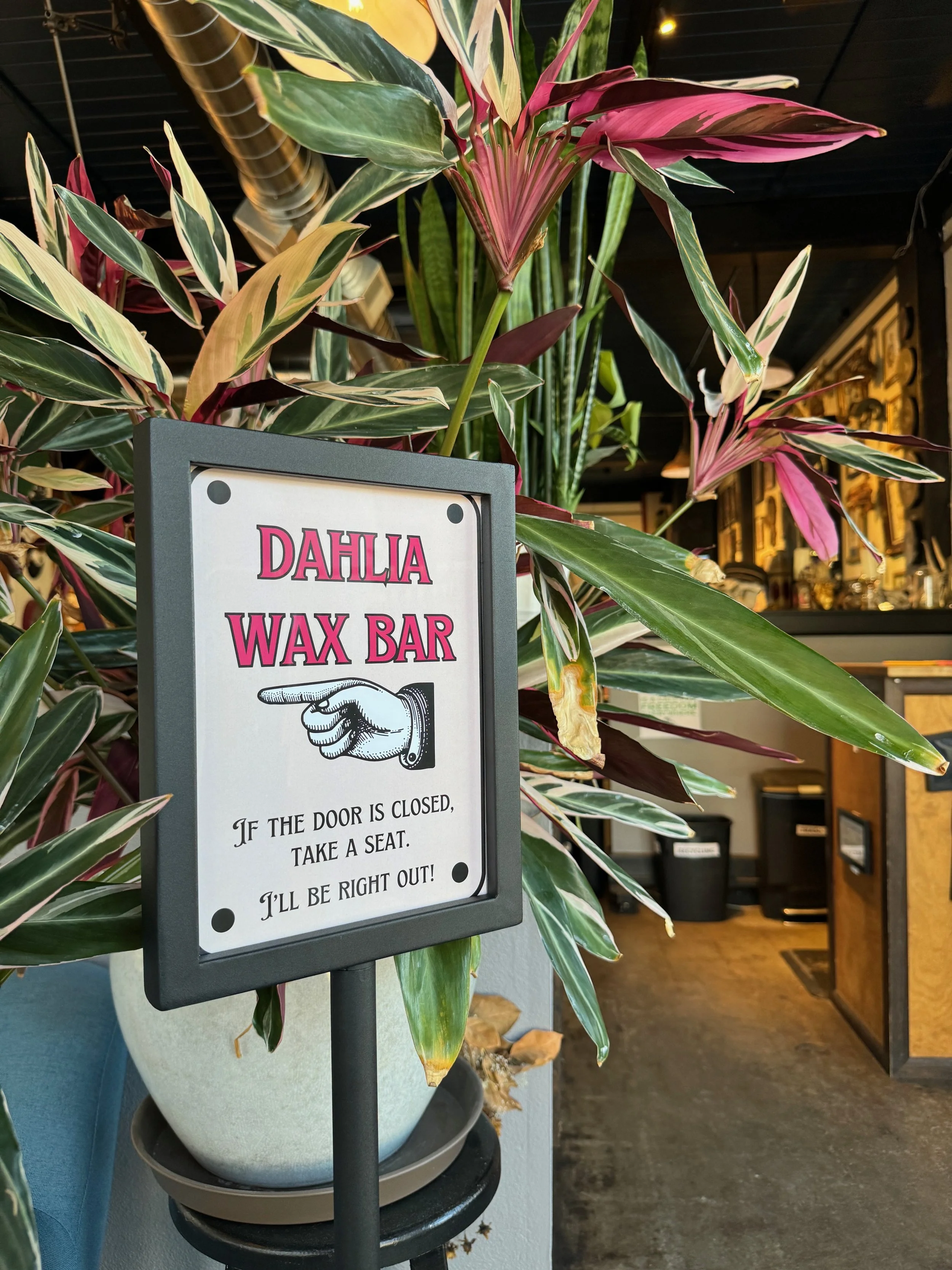 Dahlia Wax Bar : Body Positive Waxing in Portland