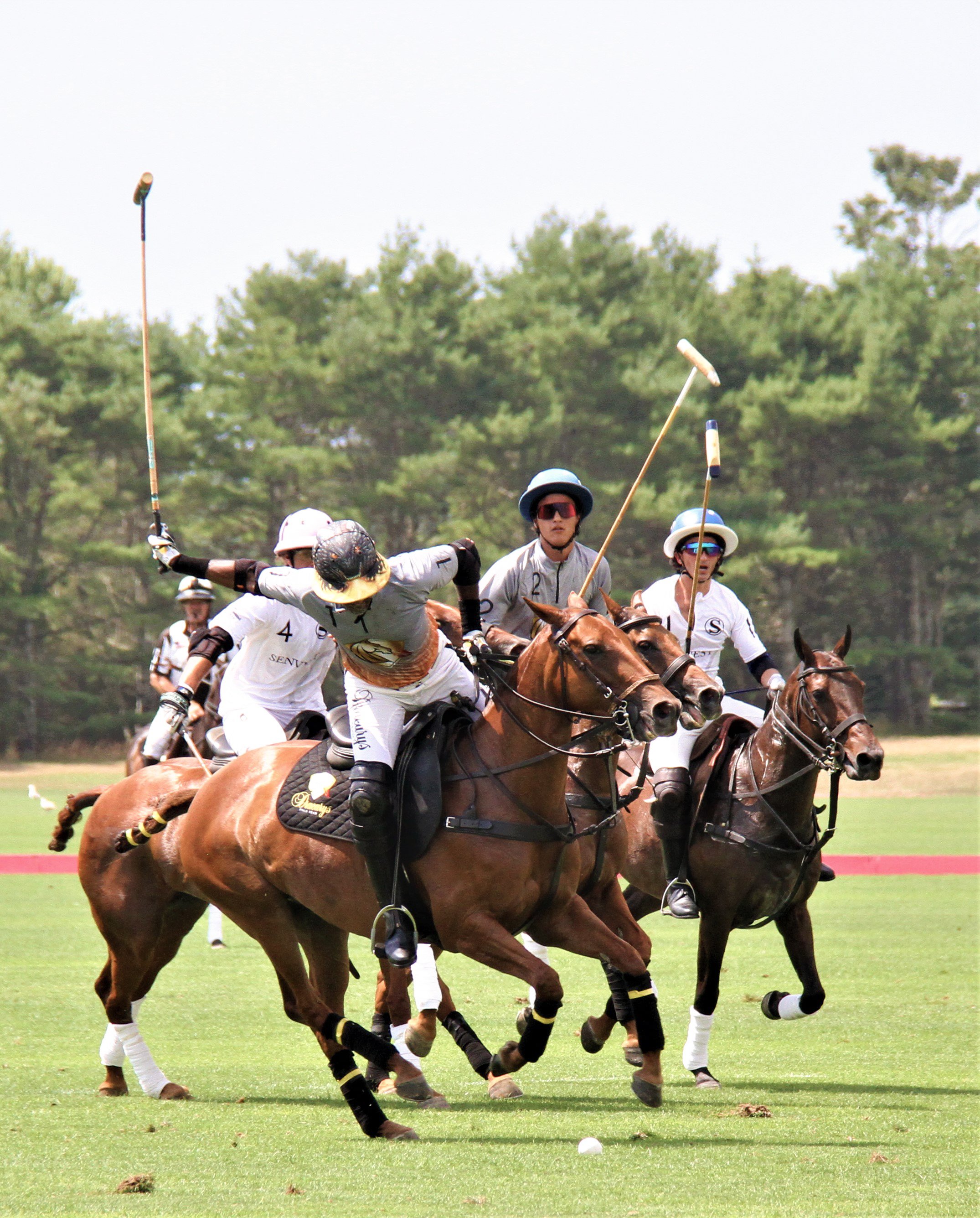 HAMPTONS POLO CLUB