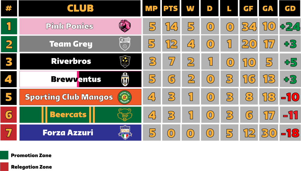 MJ Adult Coed Soccer League