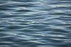 500 Tons of Trash Collected from the Baltimore Harbor Each Year — Mr ...