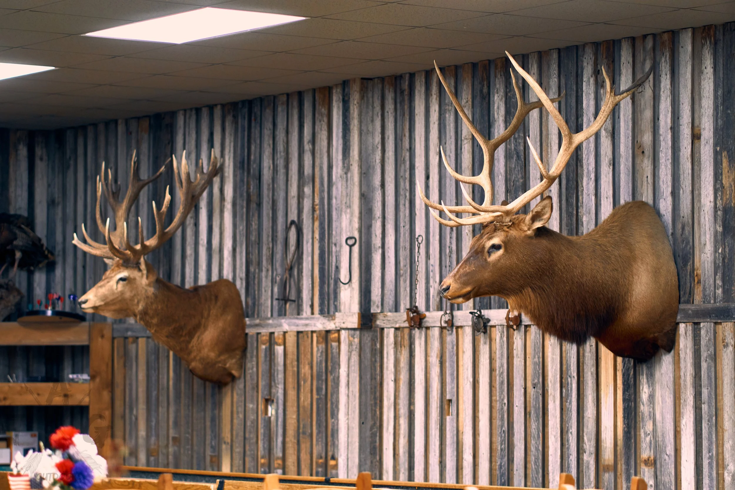 The Bunkhouse — 10-2-4 Ranch
