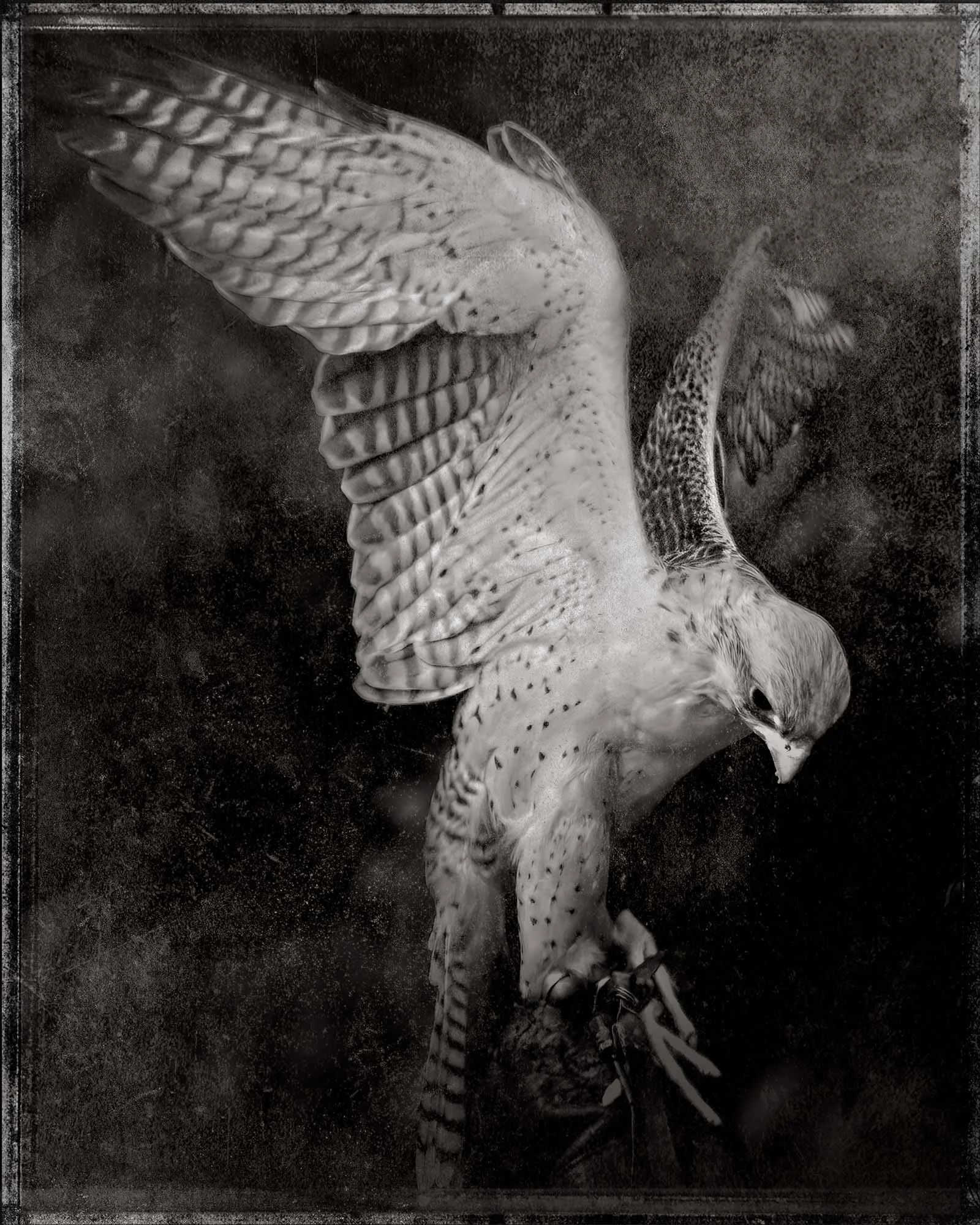 Robert David Atkinson - Fine Art photography, Video and Mixed Media.