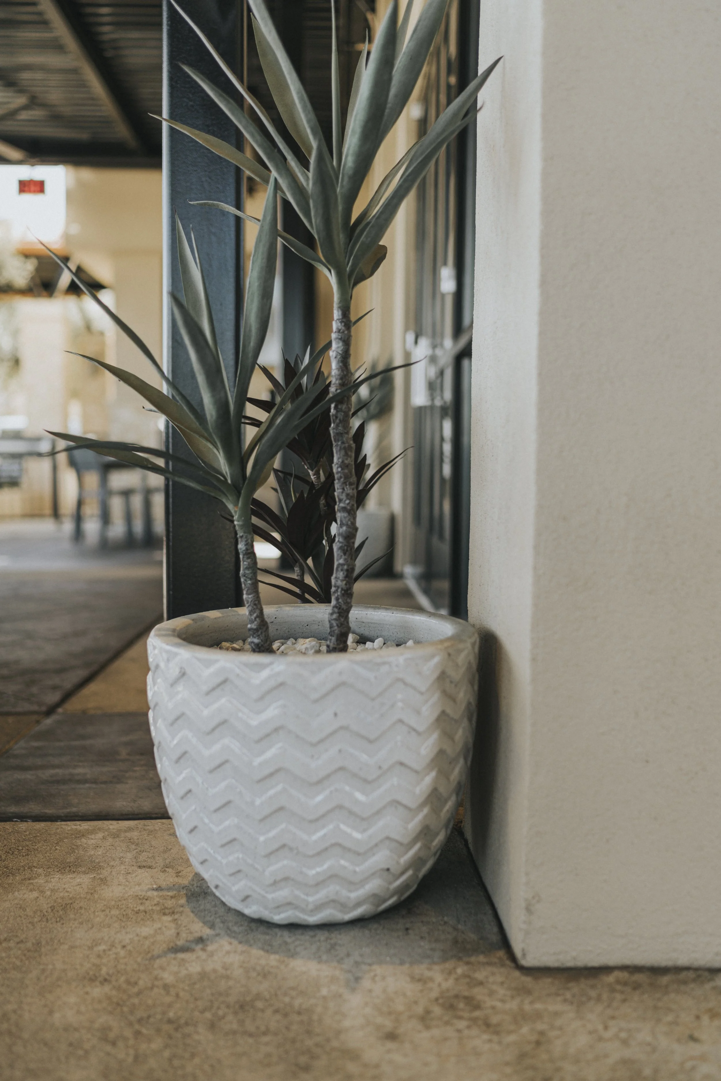 OUR STORY | Explore Our Legacy — CR Gibbs American Grille