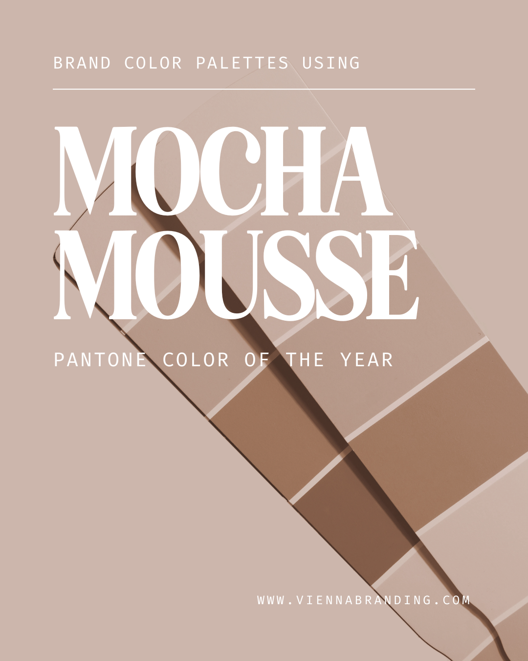 Mocha Mousse: The Color of the Year, Styled Three Ways — Vienna
