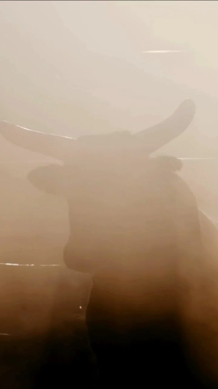 RESERVE — Toro Chicago