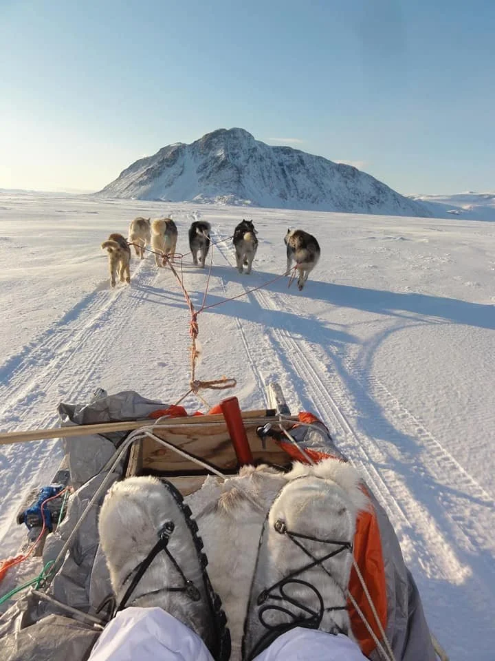 Homepage - Grise Fiord, Nunavut