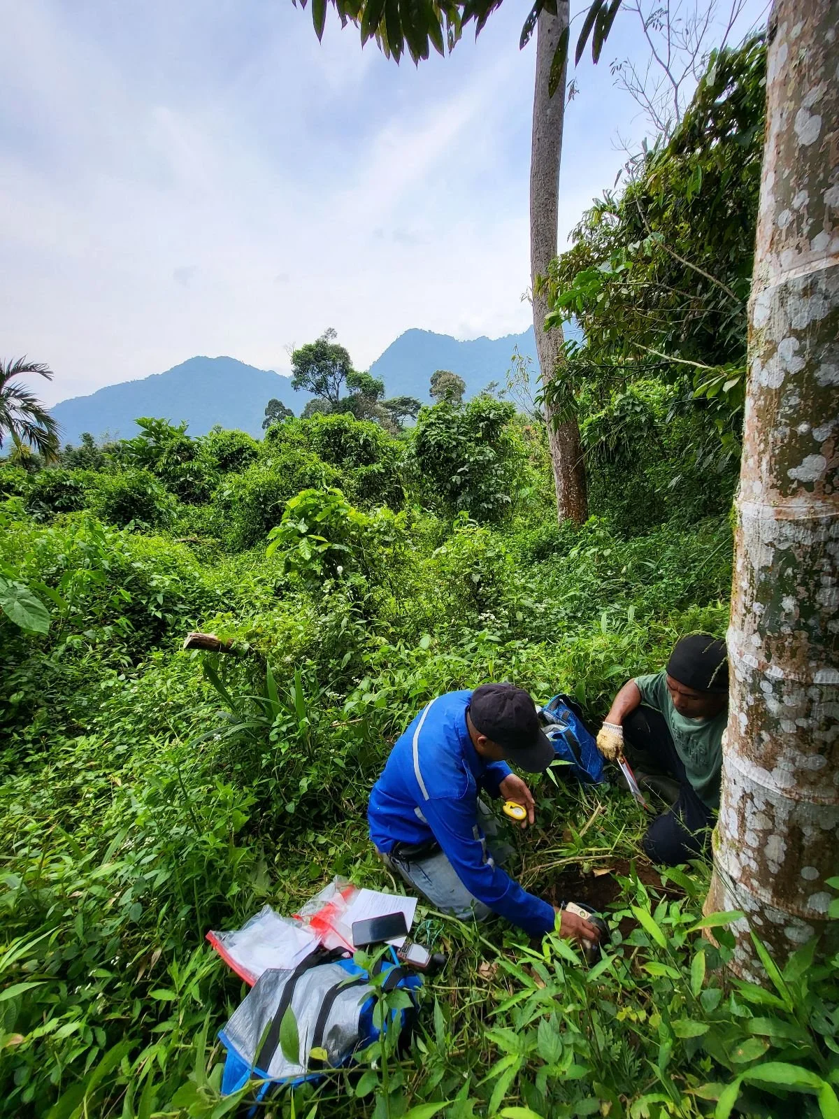 Muara Laboh - Geothermal Field Exploration Driving Expansion with NANT ...