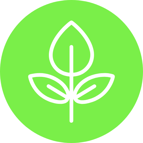 RPI Supplemental Essays — UPgraded