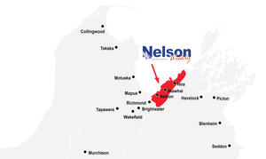 Nelson — Top South Media