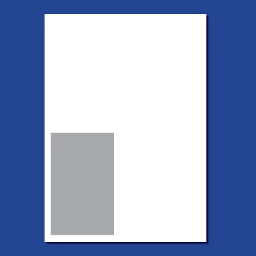 Nelson — Top South Media