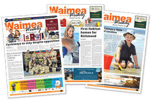 Newspapers — Top South Media