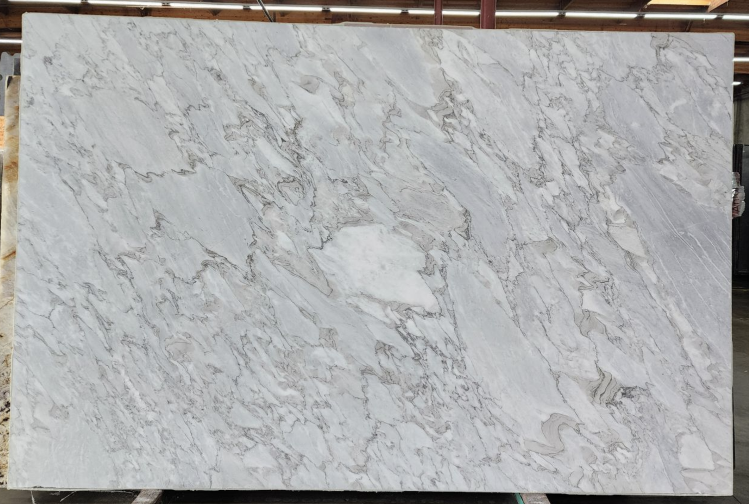 Calacatta Arni