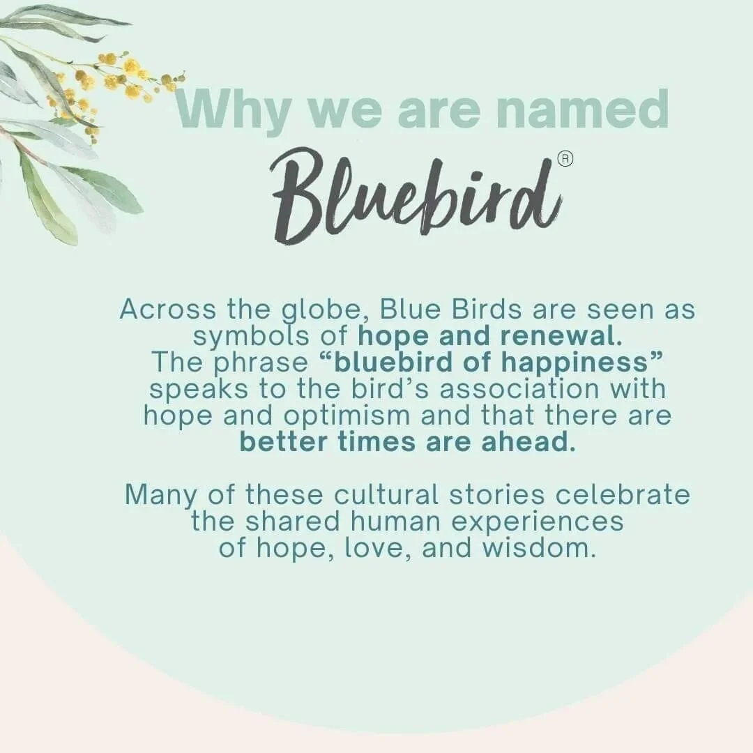 Emotion Wheel — Bluebird Psychology