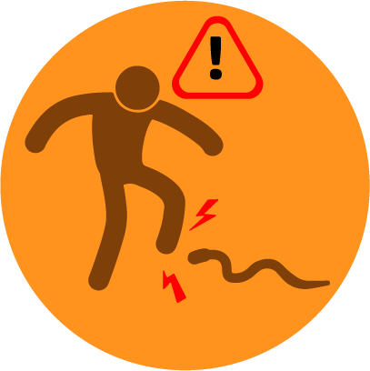 Projects Overview — Asclepius Snakebite Foundation