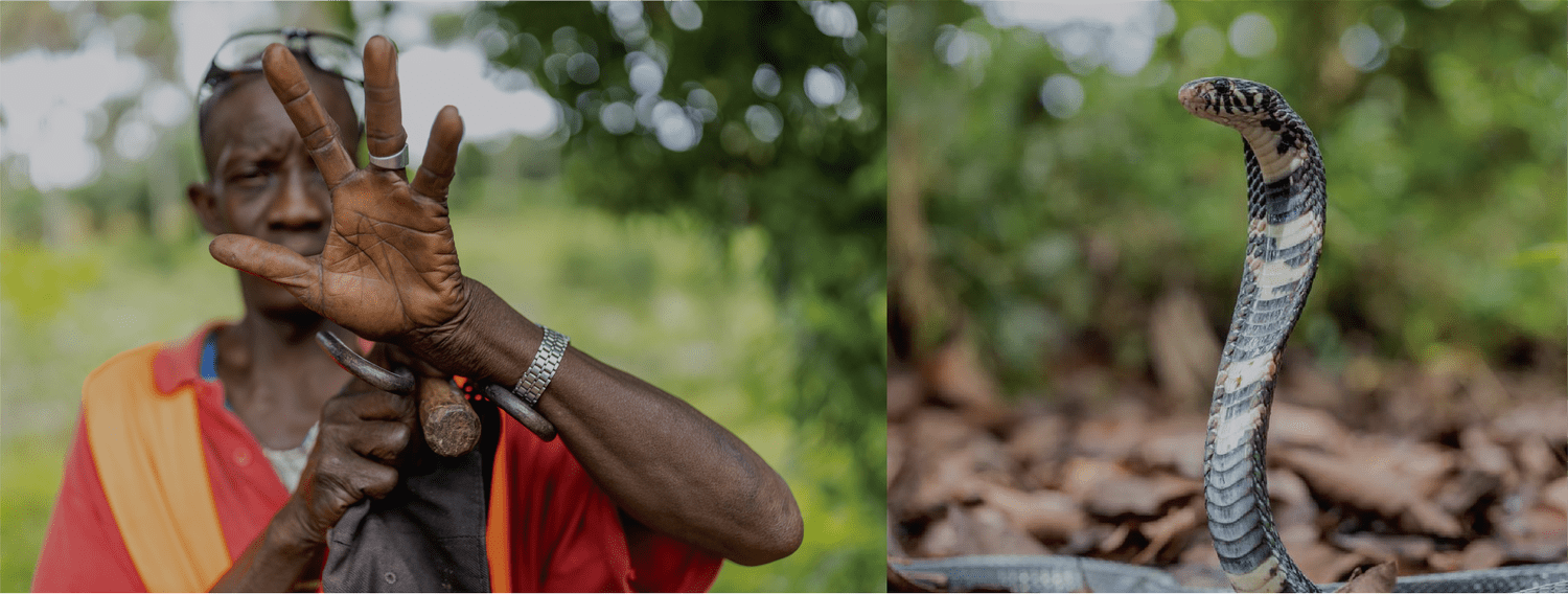 Asclepius Snakebite Foundation