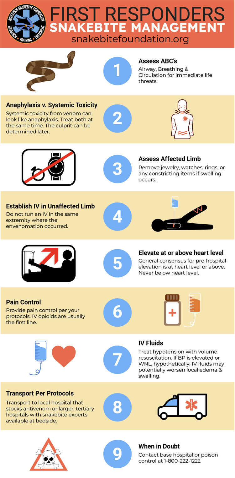 How to Treat Snakebites for First Responders in the United States ...