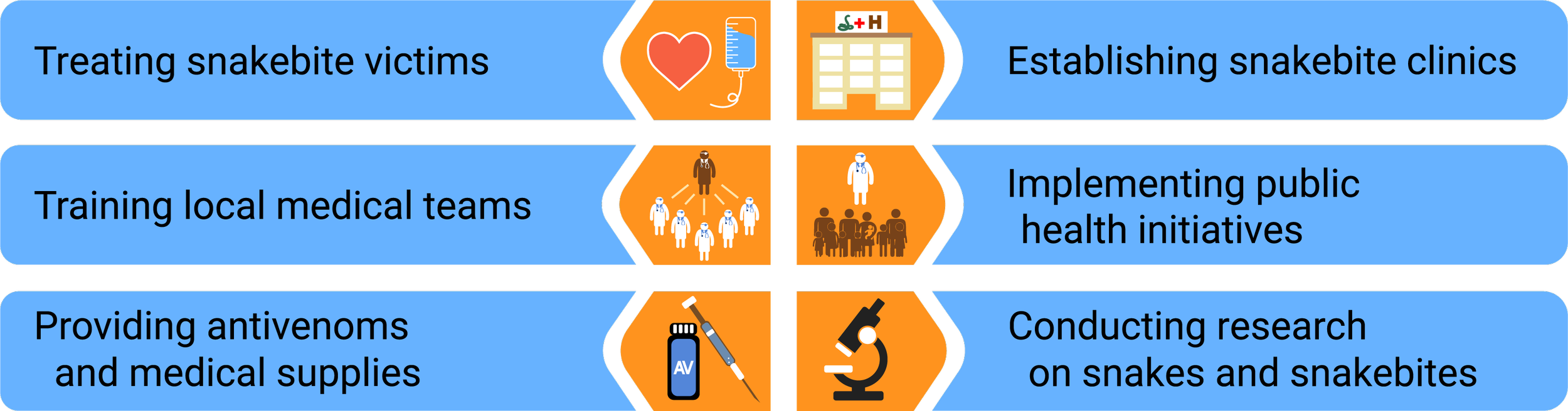 Asclepius Snakebite Foundation