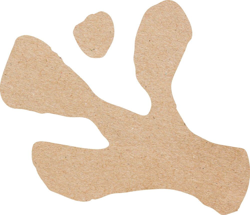 🎨 Shellmade Studio | Brand Identity & Surface Pattern Design