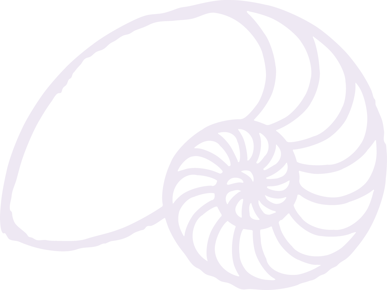 🎨 Shellmade Studio | Brand Identity & Surface Pattern Design