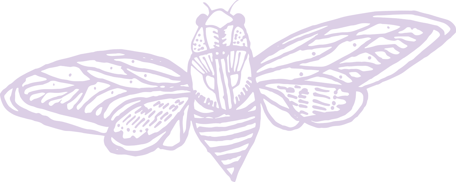 🎨 Shellmade Studio | Brand Identity & Surface Pattern Design