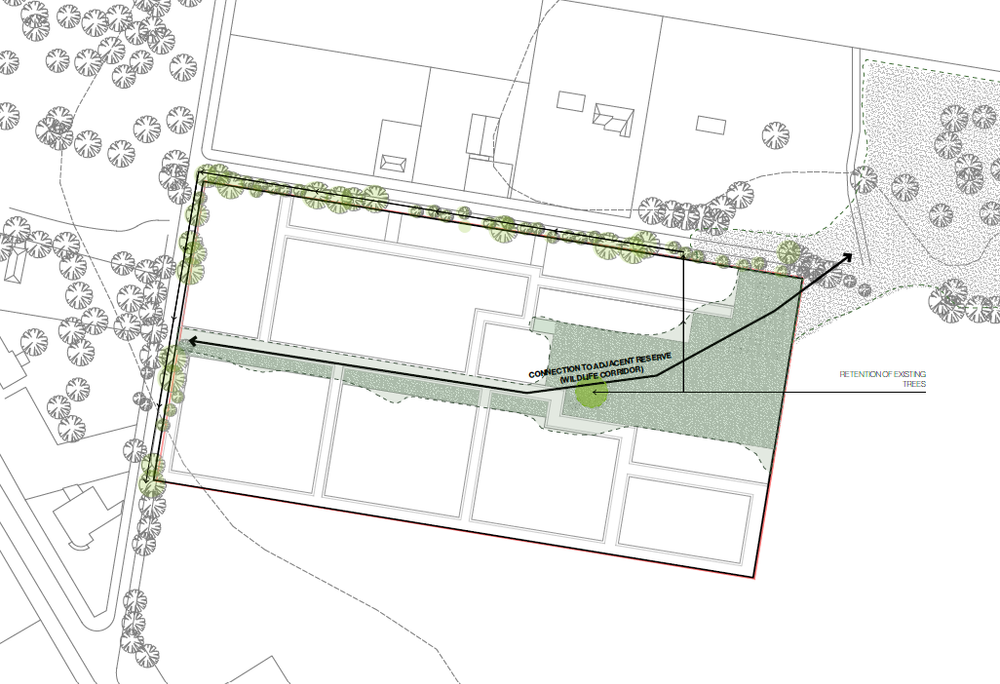 Current Projects — LPM Land