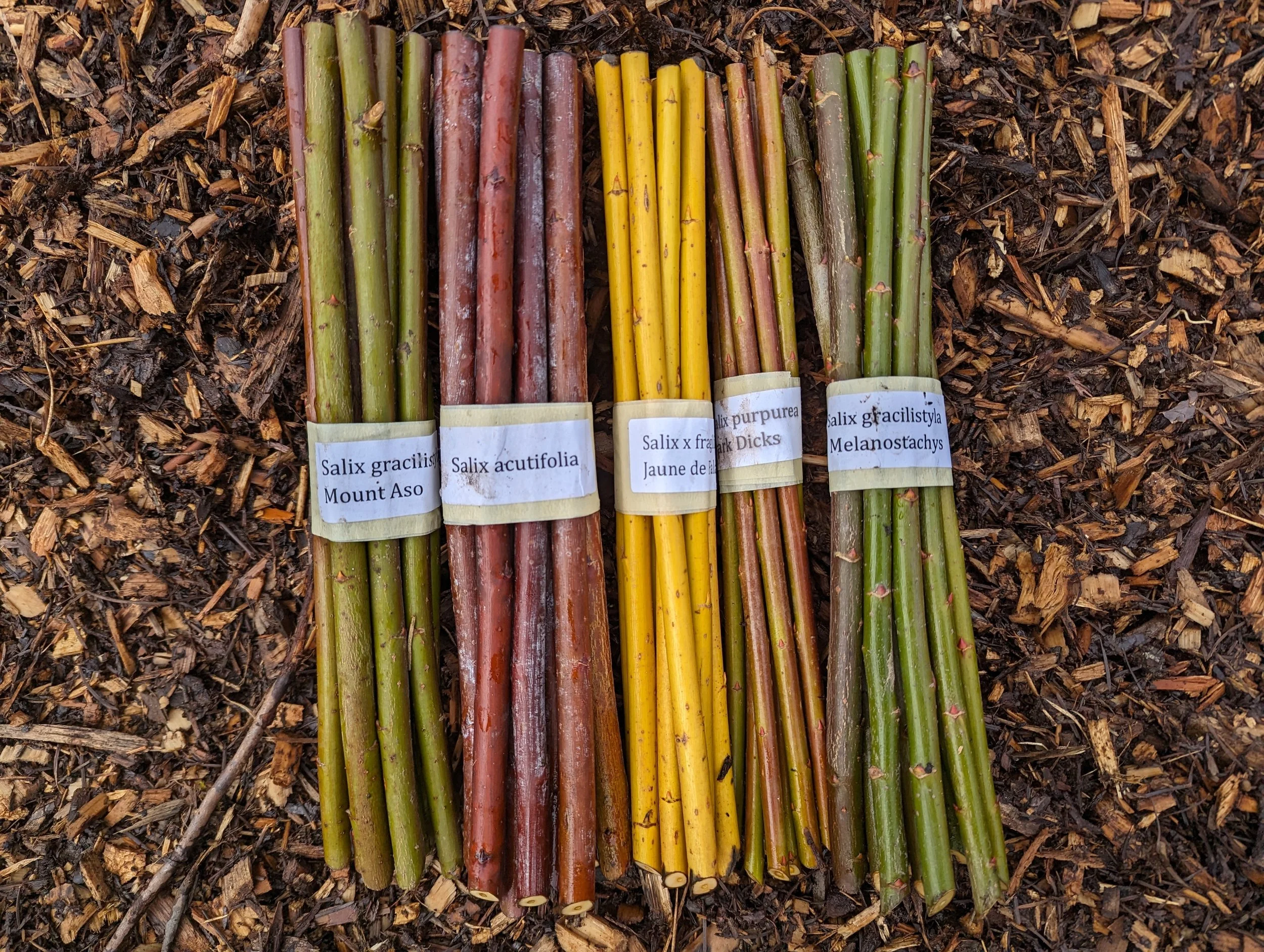 WillowFarm — Field and Forest Crafts