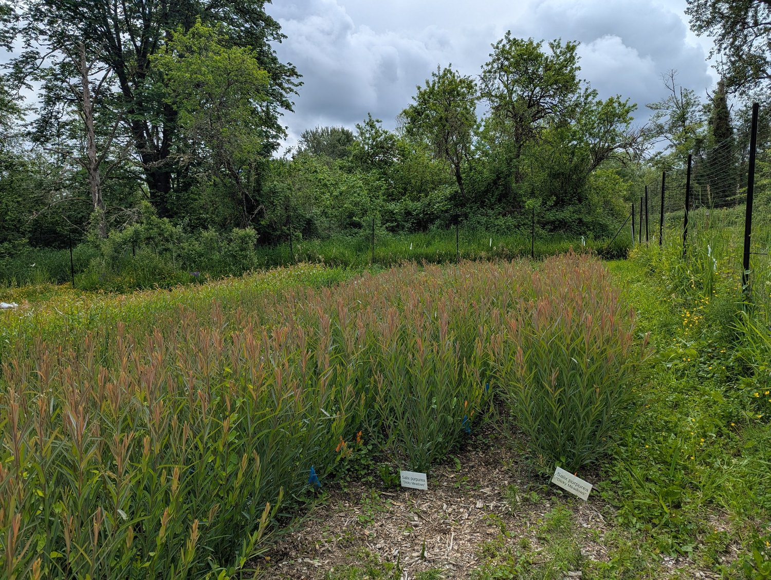 WillowFarm — Field and Forest Crafts
