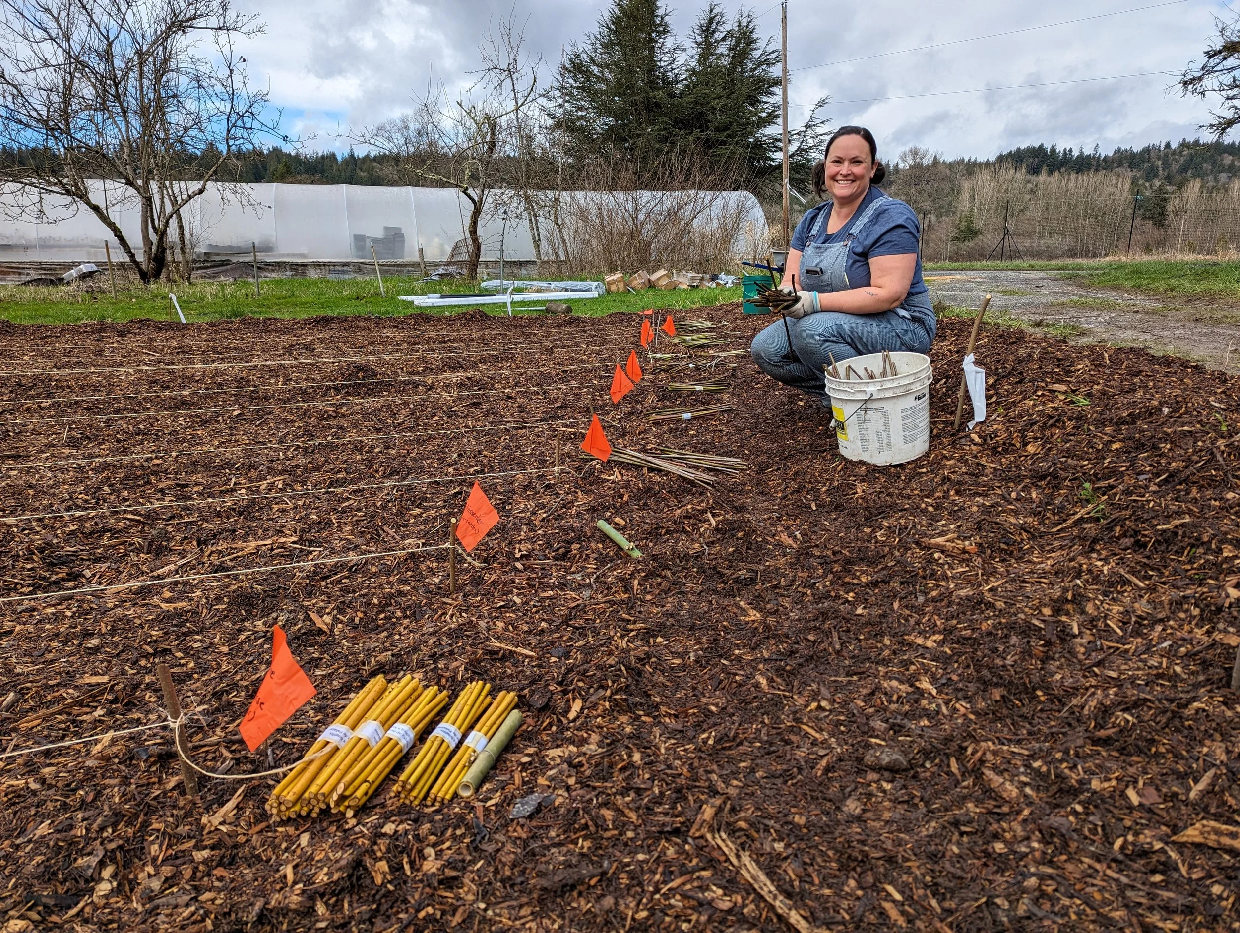 WillowFarm — Field and Forest Crafts