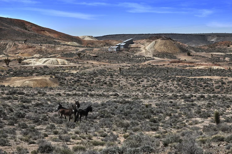 Visit Goldfield | Explore Goldfield Today — Plan Your Visit — Goldfield ...