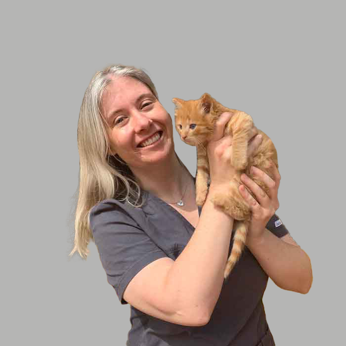 About — Port City Emergency Vet