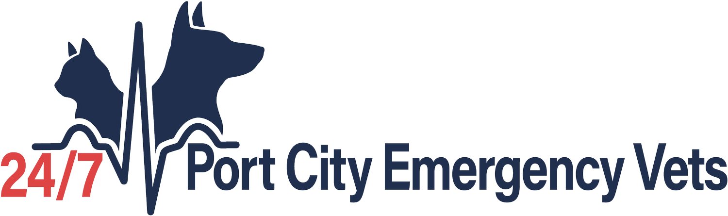 Port City Emergency Vets