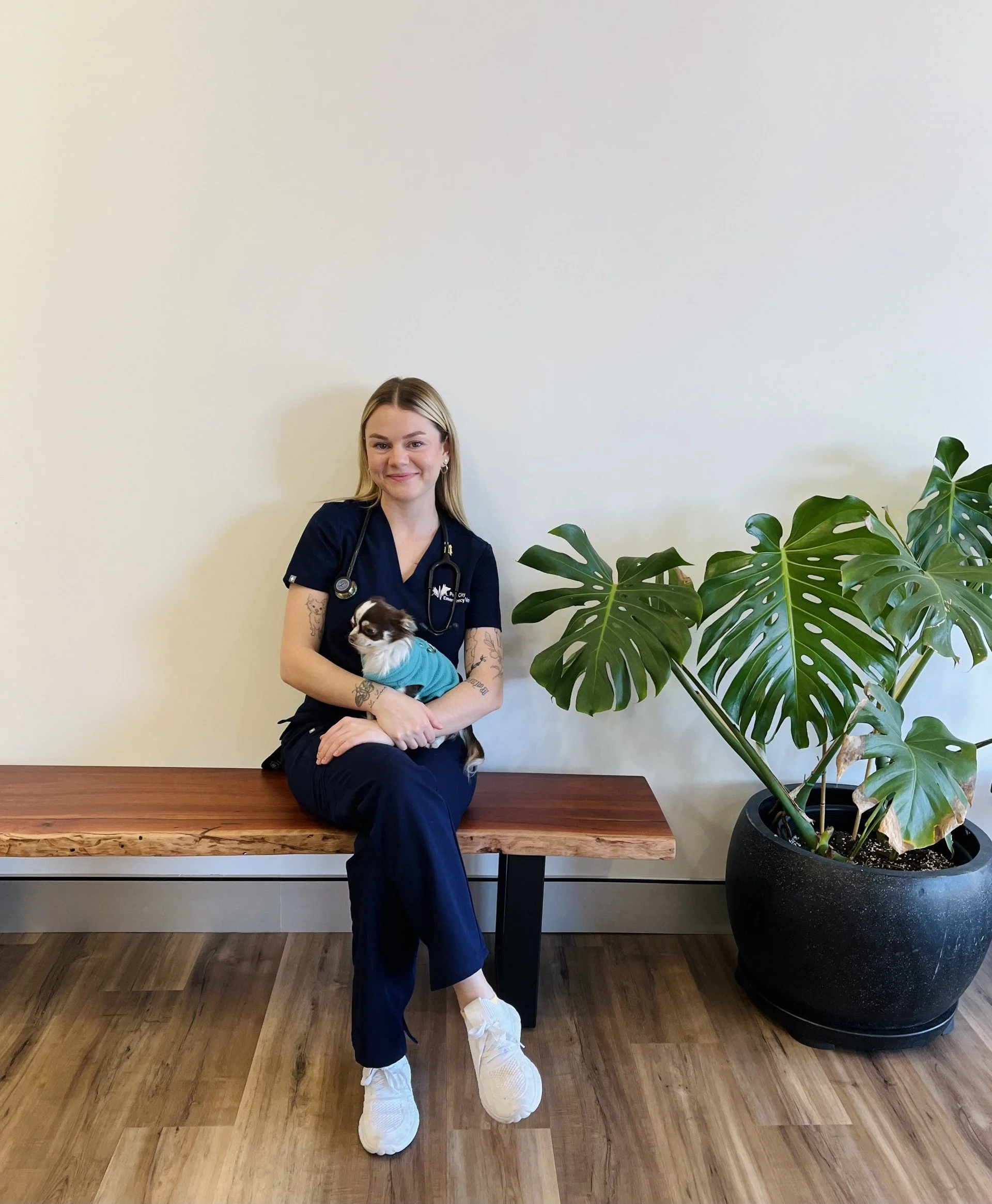 About | Discover Our Mission — Port City Emergency Vet