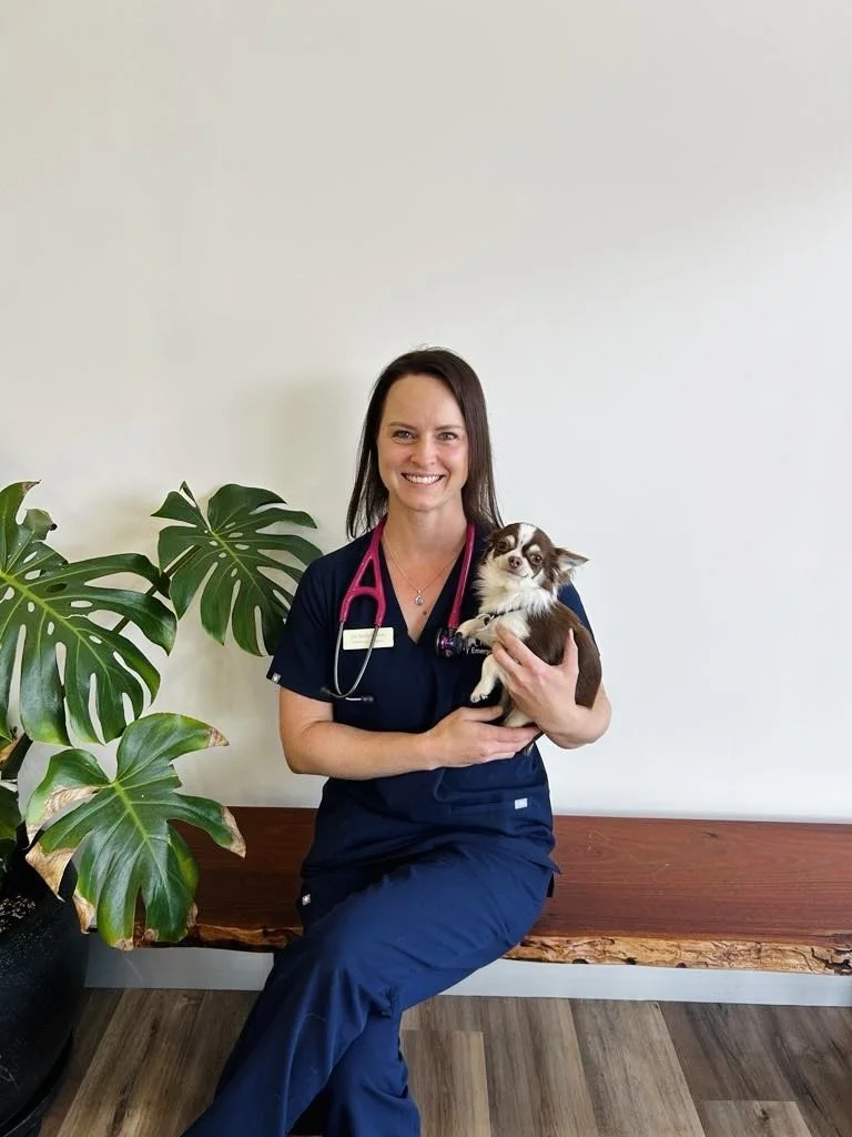 About | Discover Our Mission — Port City Emergency Vet