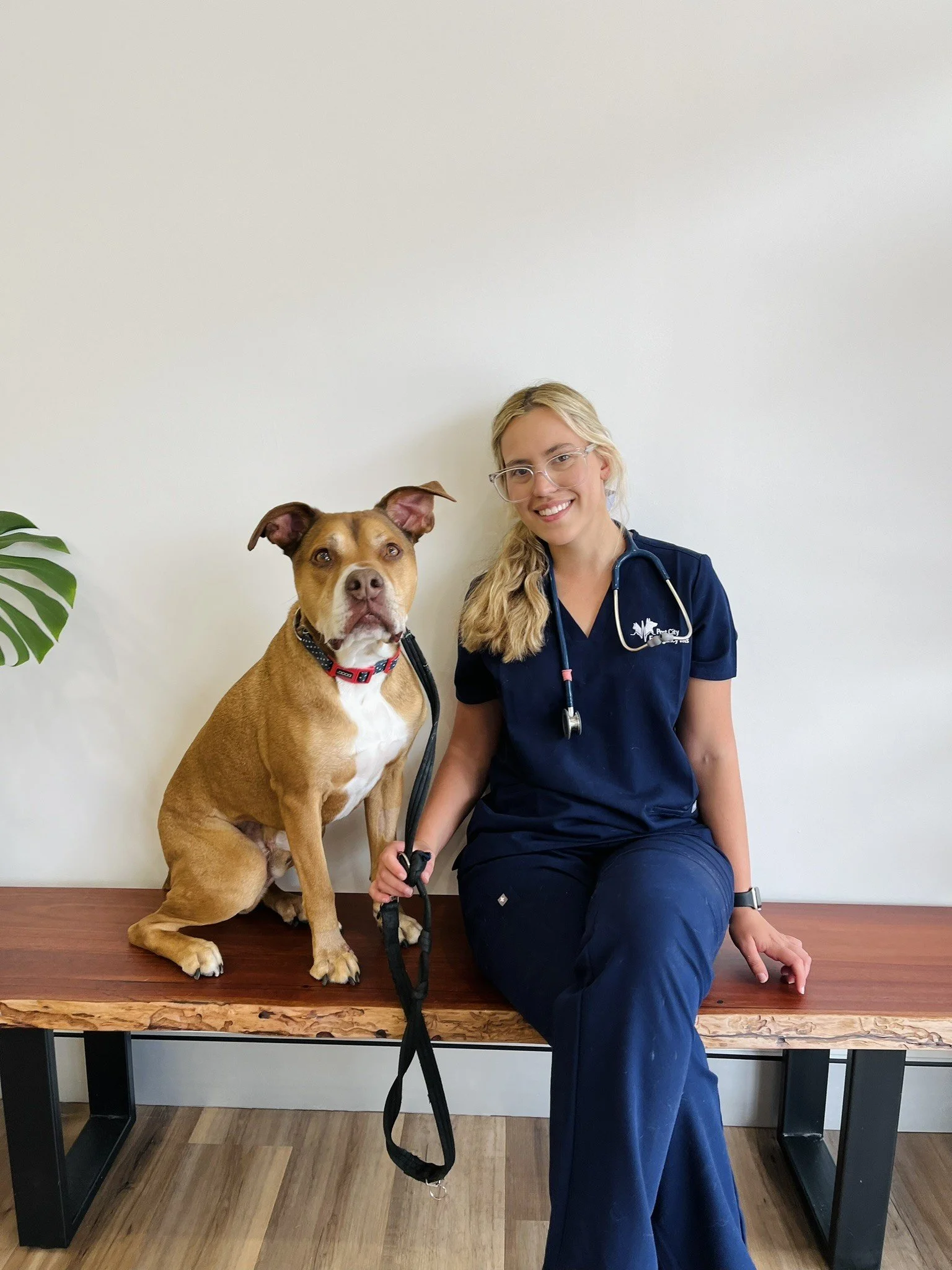 About | Discover Our Mission — Port City Emergency Vet