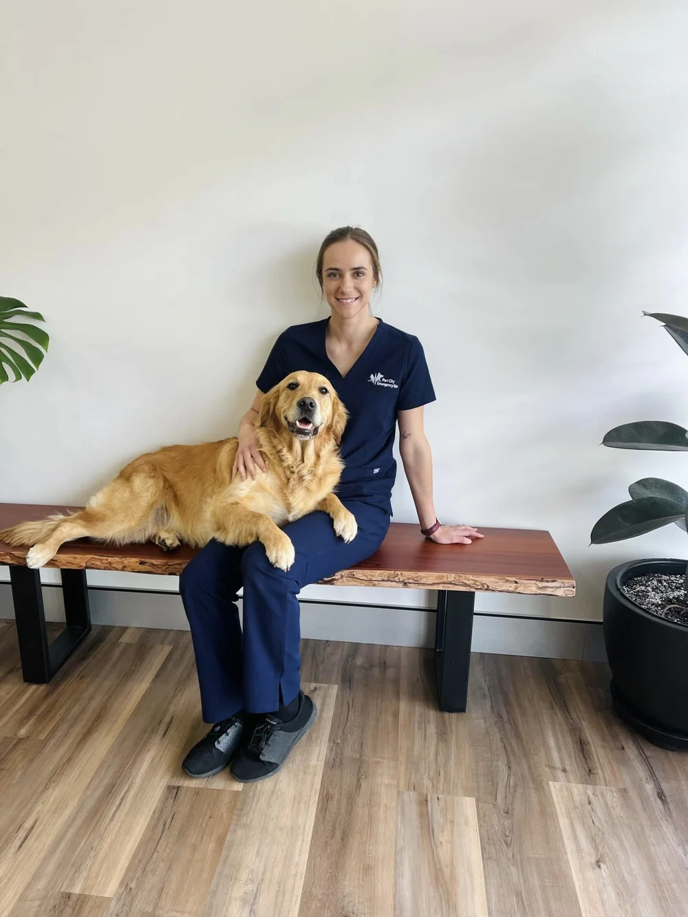 About | Discover Our Mission — Port City Emergency Vet