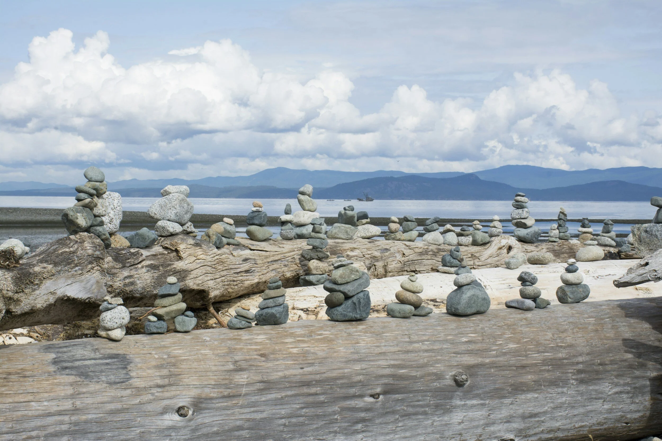 Nanaimo to Campbell River — Driving BC