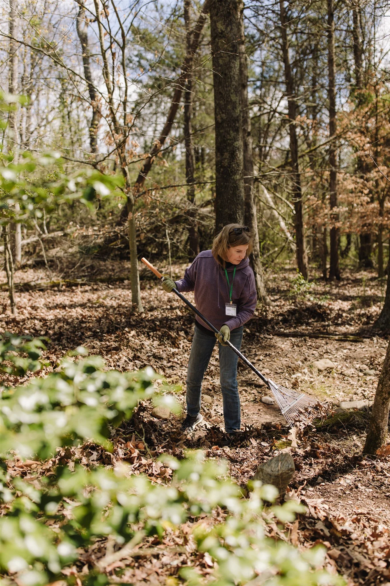 Our Vision — Seven Oaks Retreat Center