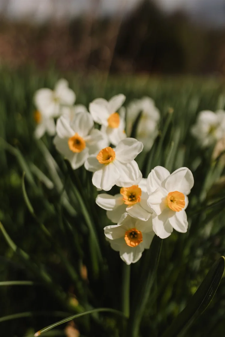 Grounds — Seven Oaks Retreat Center