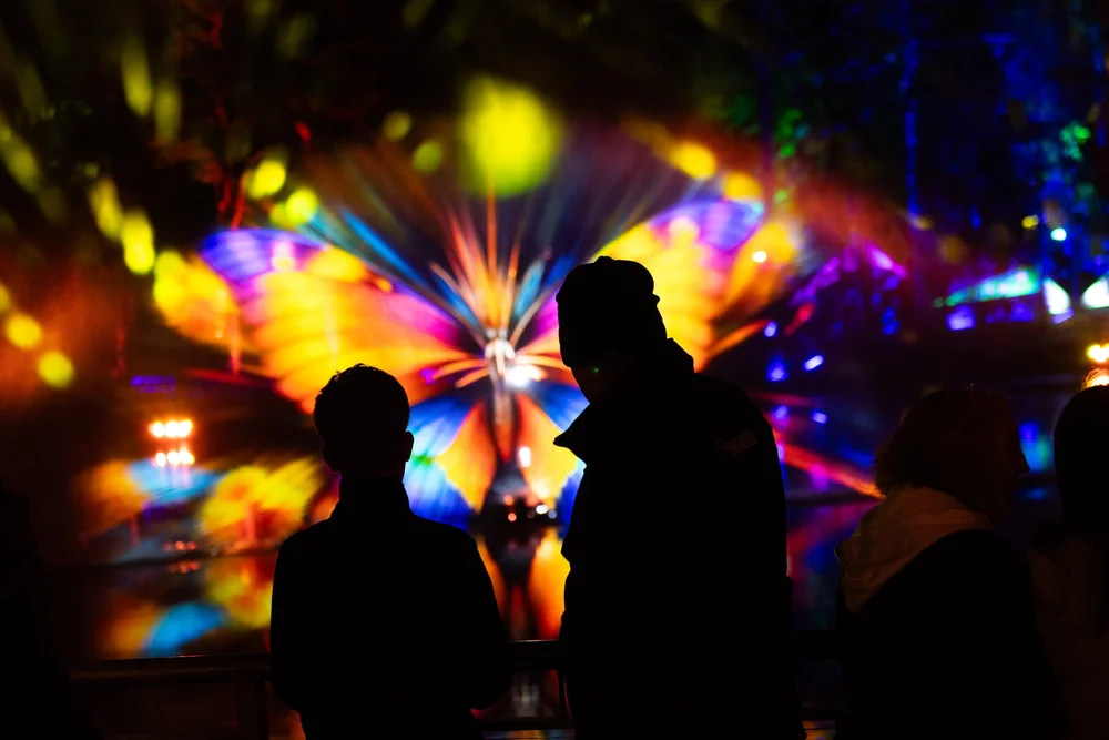 Projection Mapping & Immersive Art | Video Production
