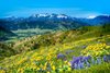 Visit Chelan County — Wenatchee Downtown Association
