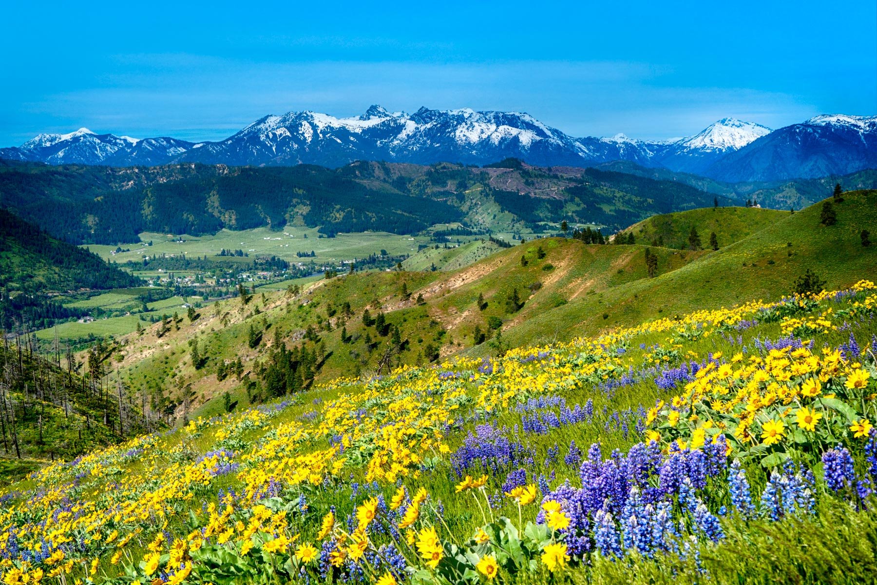 Visit Chelan County — Wenatchee Downtown Association