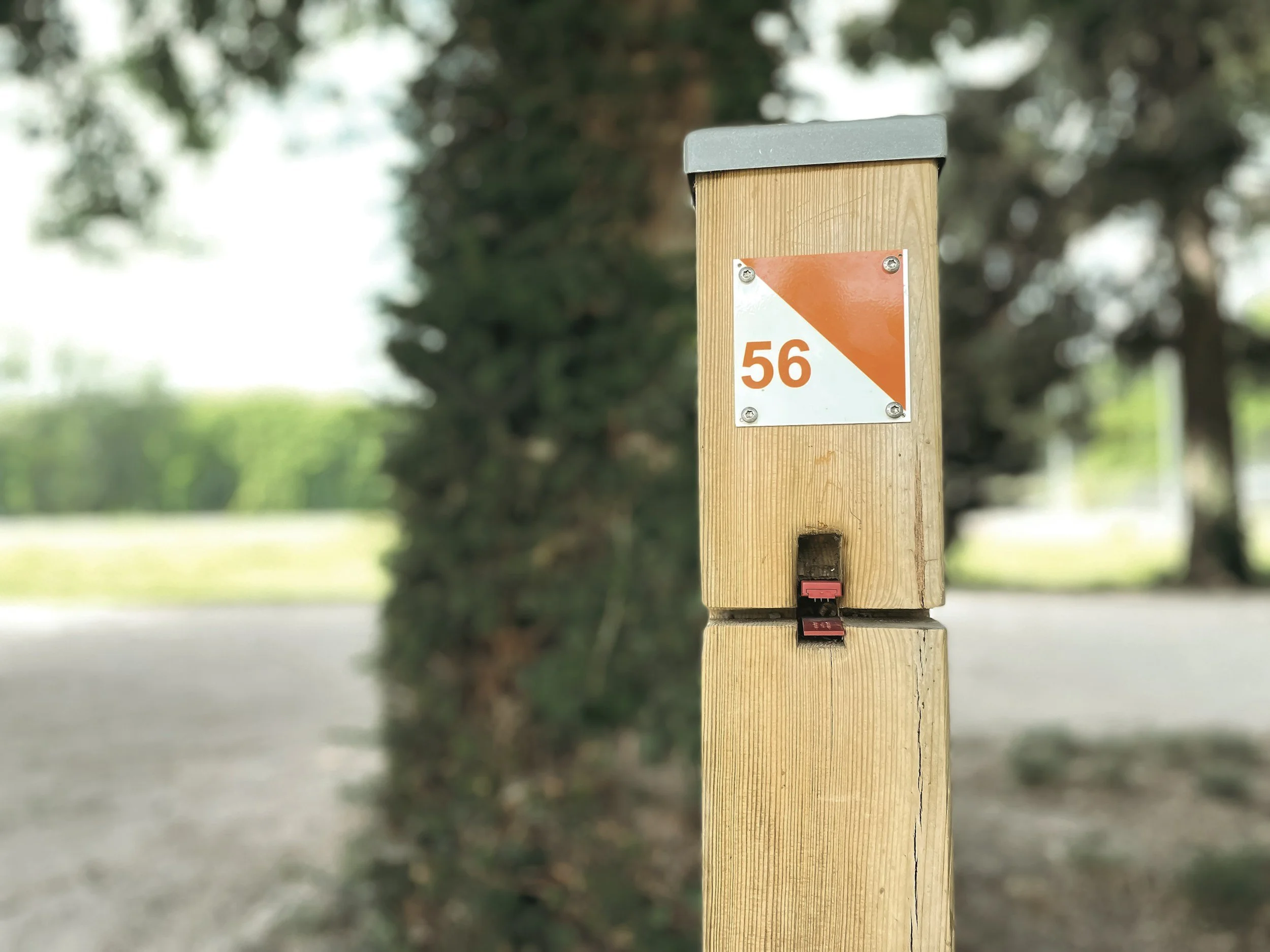 Southern Country Park — Chigwell and Epping Forest Orienteering Club