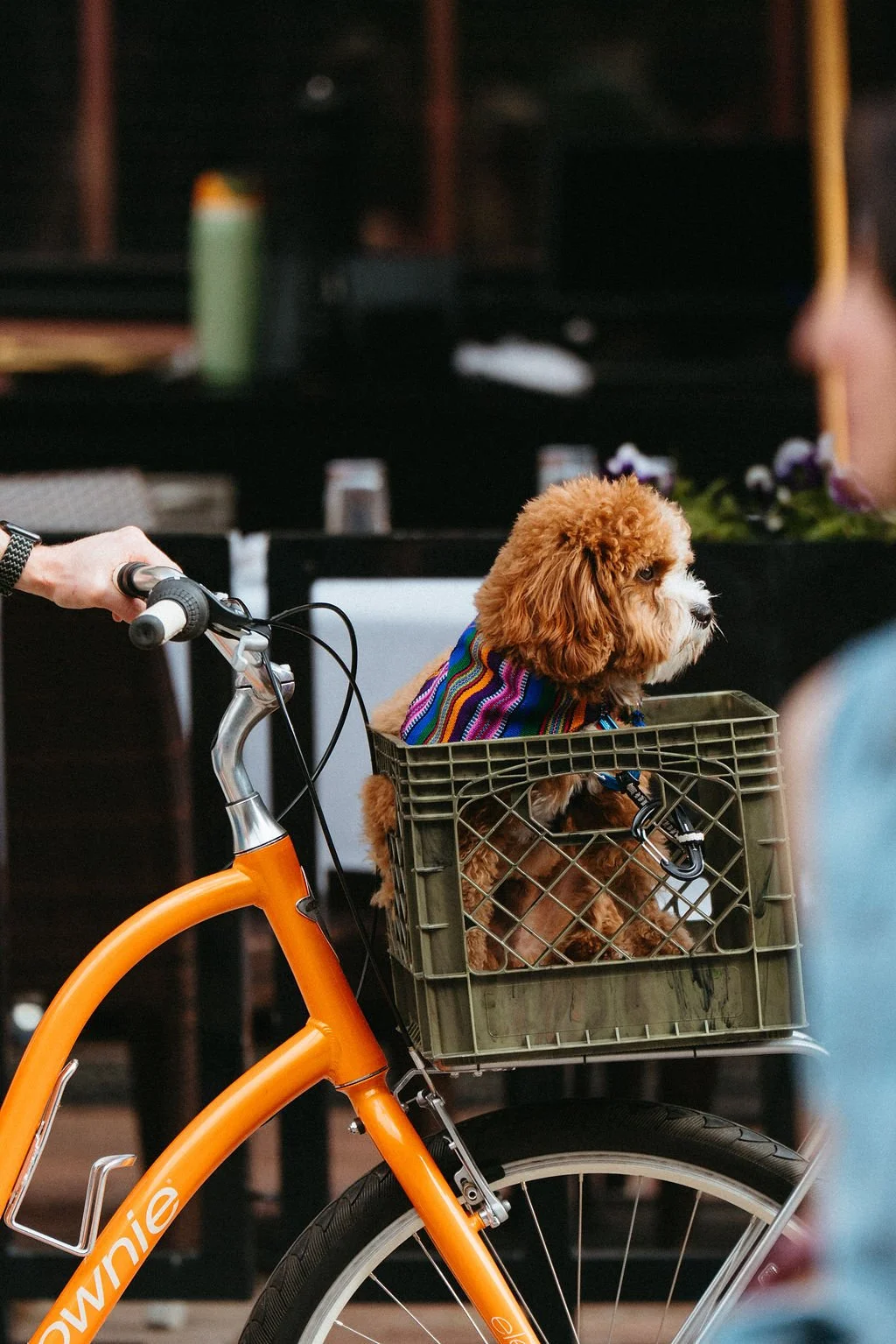 Spring Fling — Larimer Square - Downtown Denver Shopping, Dining, Events