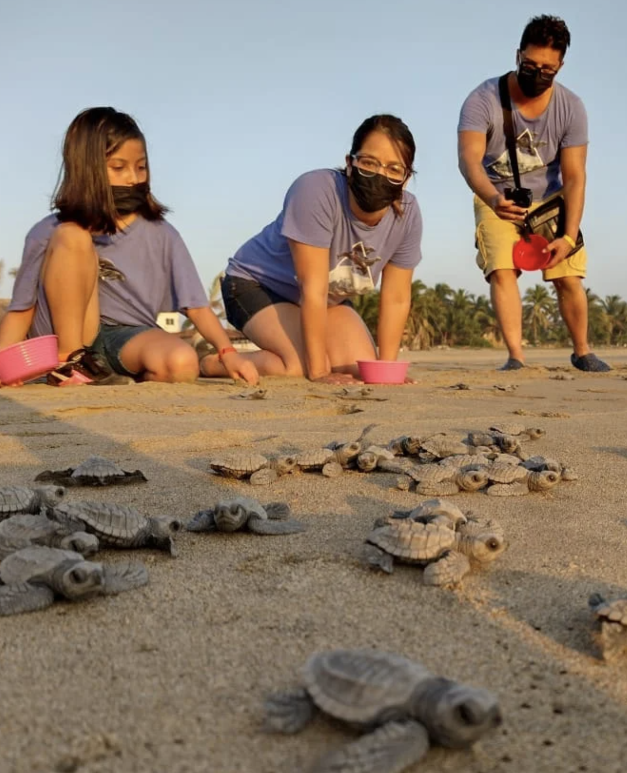 Programa Nacional de Protección de Tortugas Marinas — Fundación ...
